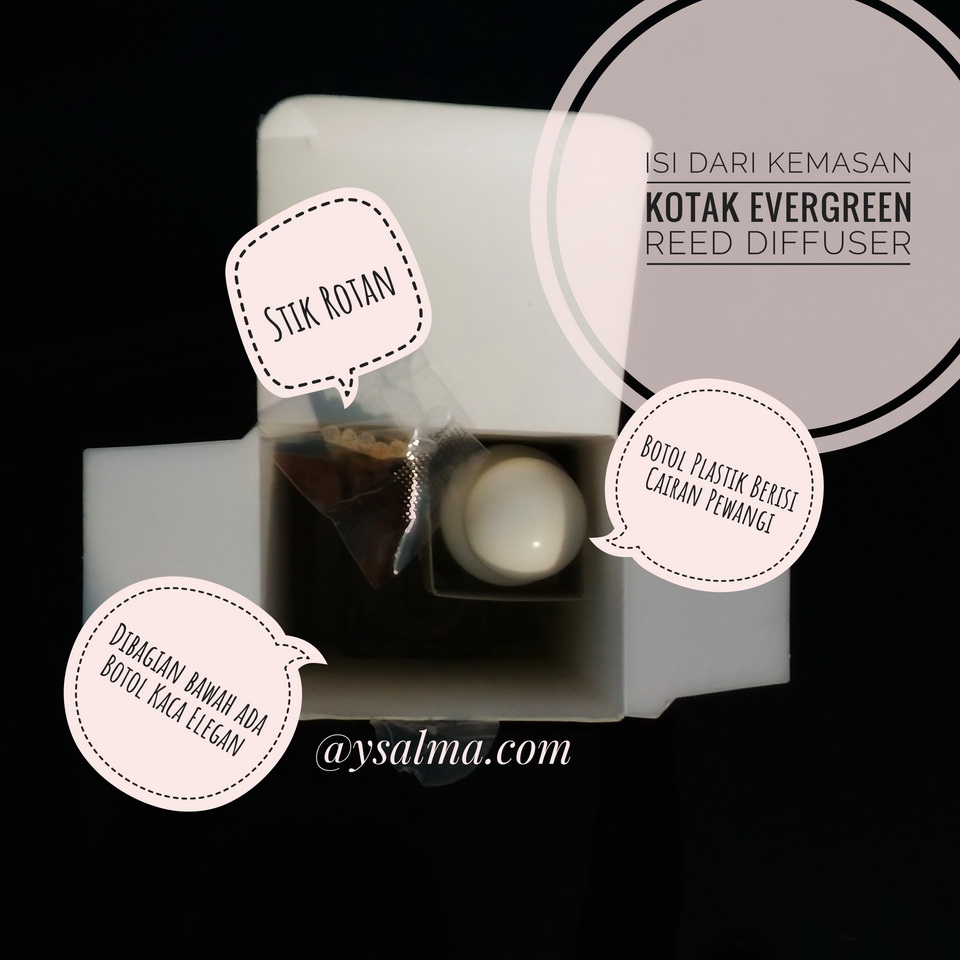 [Review Produk] : Evergreen Reed Diffuser, Pewangi Ruangan Tidak ...