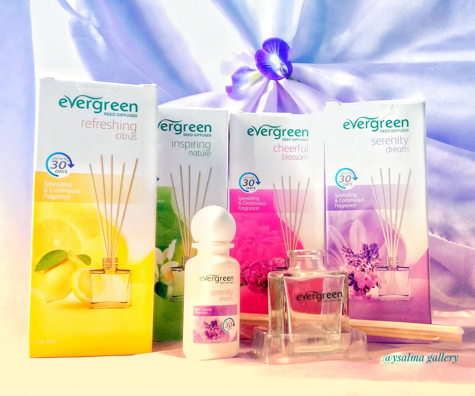 [Review Produk] : Evergreen Reed Diffuser, Pewangi Ruangan Tidak Meninggalkan Residu, Tampilan ...