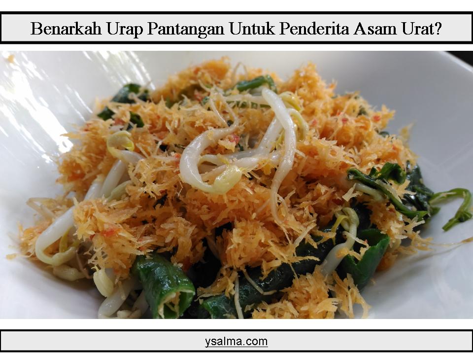 Urap, Sayuran Hijau Pantangan Penderita Asam Urat. Benarkah? – YSalma