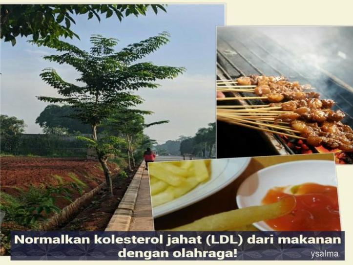Tips Sehat: Ketahui Ukuran LDL yang Normal dan Cara Menjaganya – YSalma