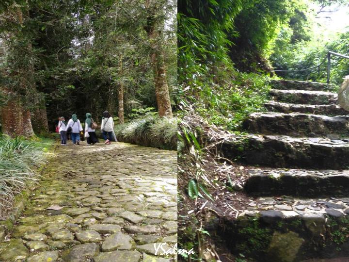 Curug Ciismun, Air Terjun Cantik Ramah Usia di Kebun Raya Cibodas – YSalma