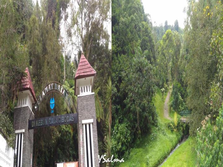 Curug Ciismun, Air Terjun Cantik Ramah Usia di Kebun Raya Cibodas – YSalma